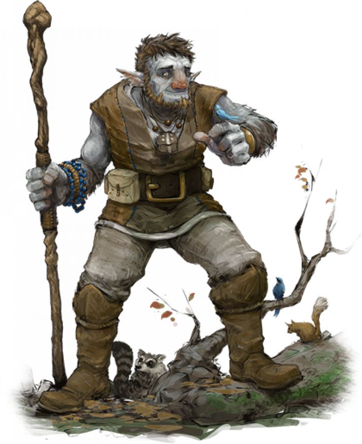 Фирболги (Firbolg) | Расы | Инструменты мастера D&D